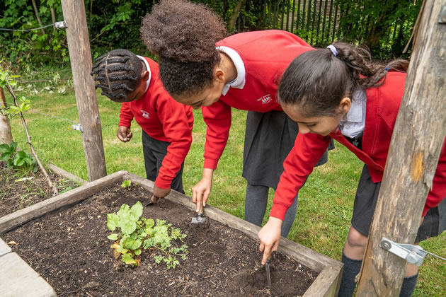 East Acton Primary School Pupils Plant Seed Bombs East Acton Primary School Pupils Plant Seed Bombs